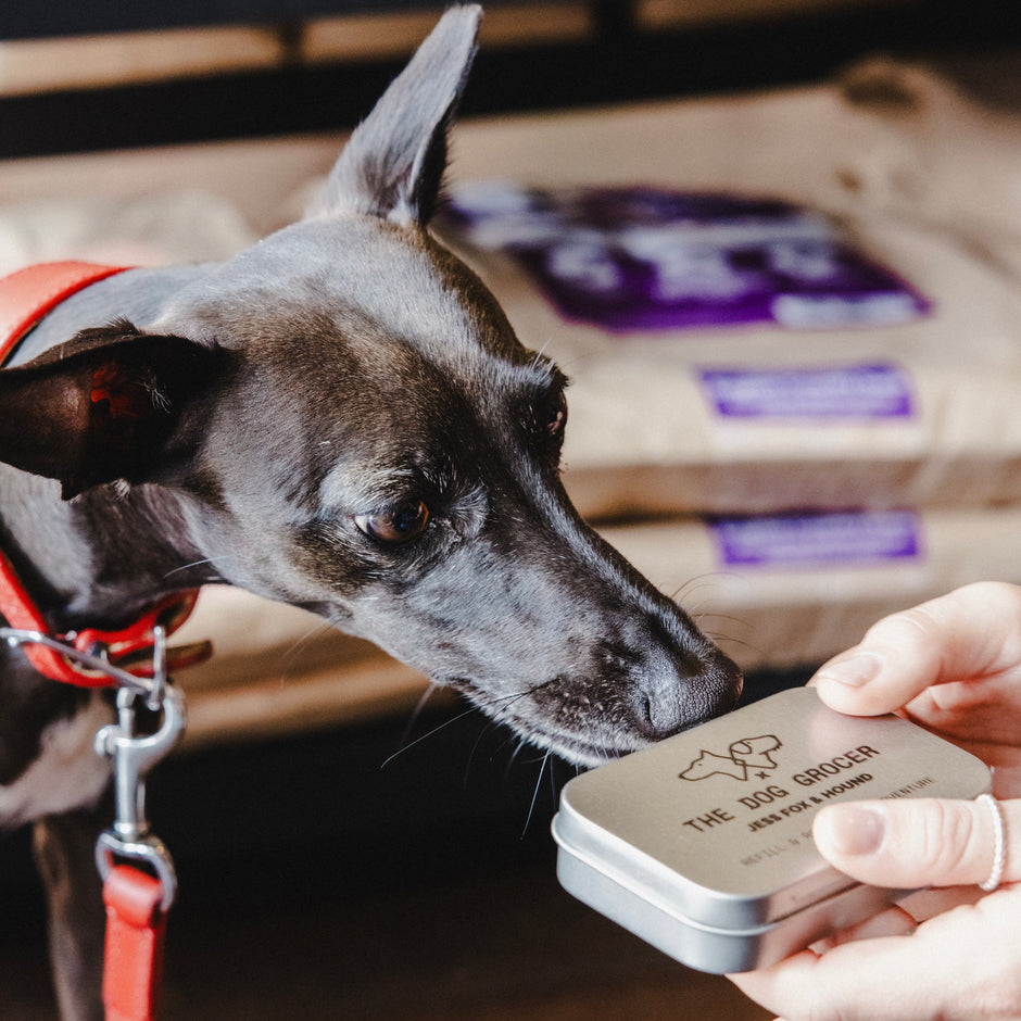 Merch – The Dog Grocer
